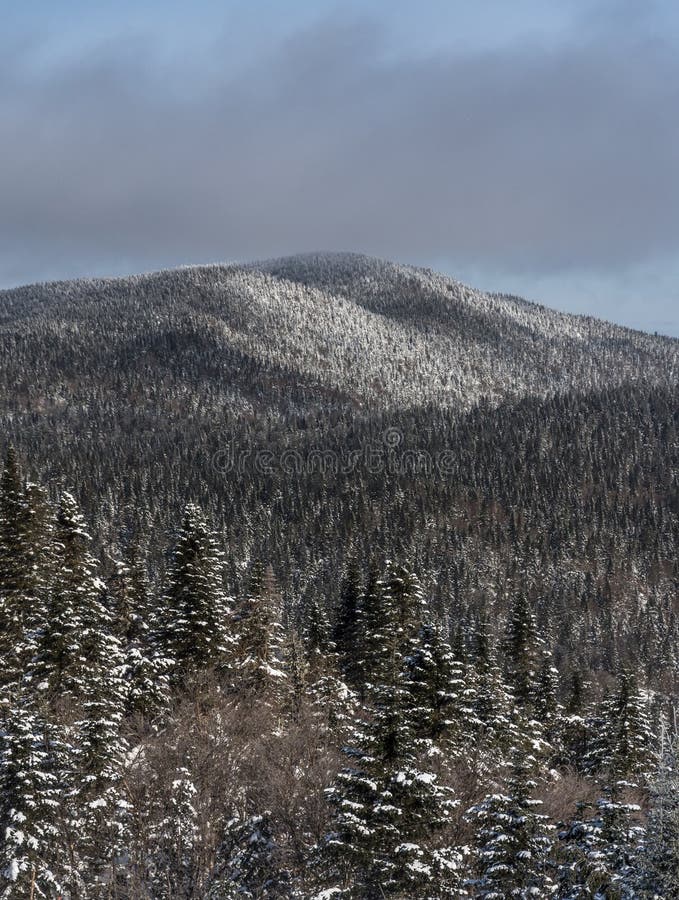 Mountain Summit in Eastern Canada Stock Image - Image of frost, skiing ...
