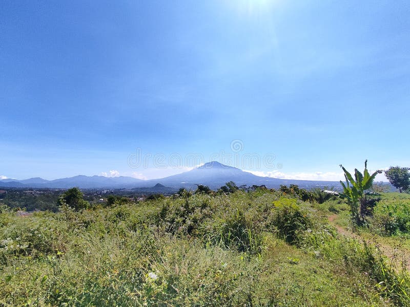 Mountain in sunny weather stock image. Image of tree - 222020179