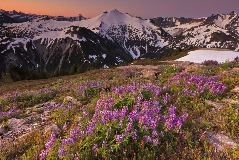 Mountain sunset stock image. Image of mountain, ecology - 23409599