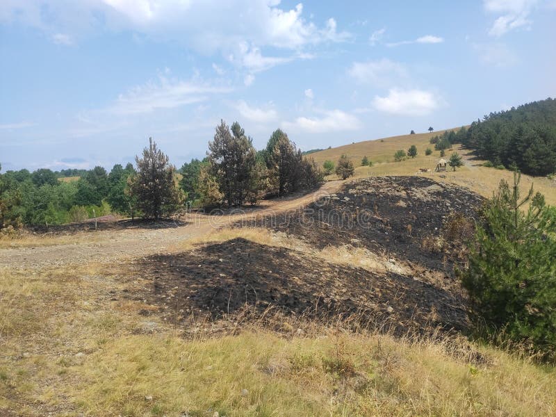Mountain Suvobor Serbia Forest Fire Stock Image - Image of stone, john ...