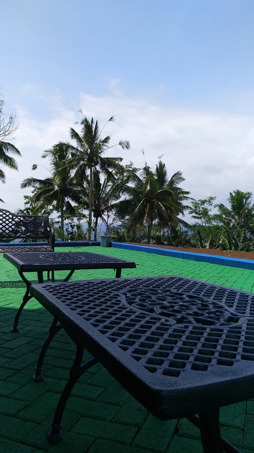 Mountain Table Coconut Tree Stock Photo - Image of estate, resort ...