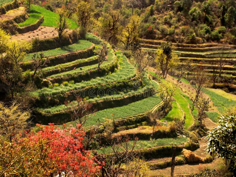Mountain terrace stock photo. Image of landmarks, high - 42386068