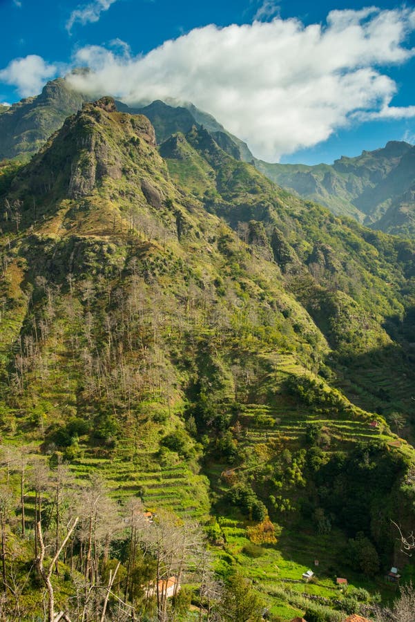 Mountain terrace view stock photo. Image of hight, resort - 41993394