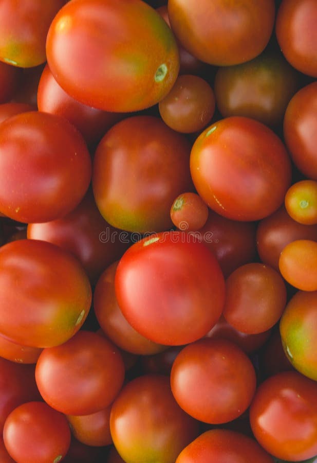 Mountain tomato top view stock photo. Image of shiny - 76622978