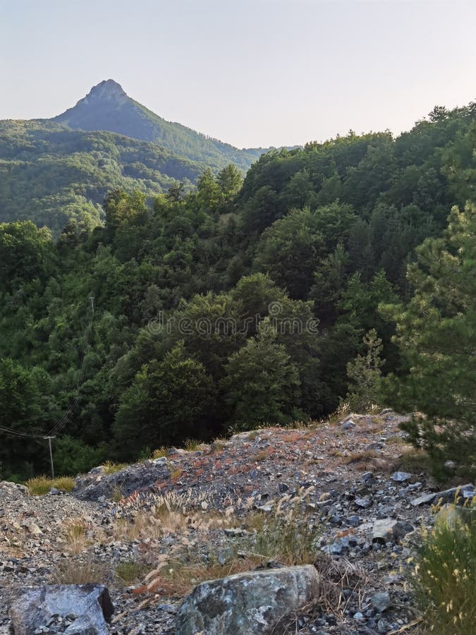 Mountain Top stock photo. Image of serbia, vegetation - 261688884