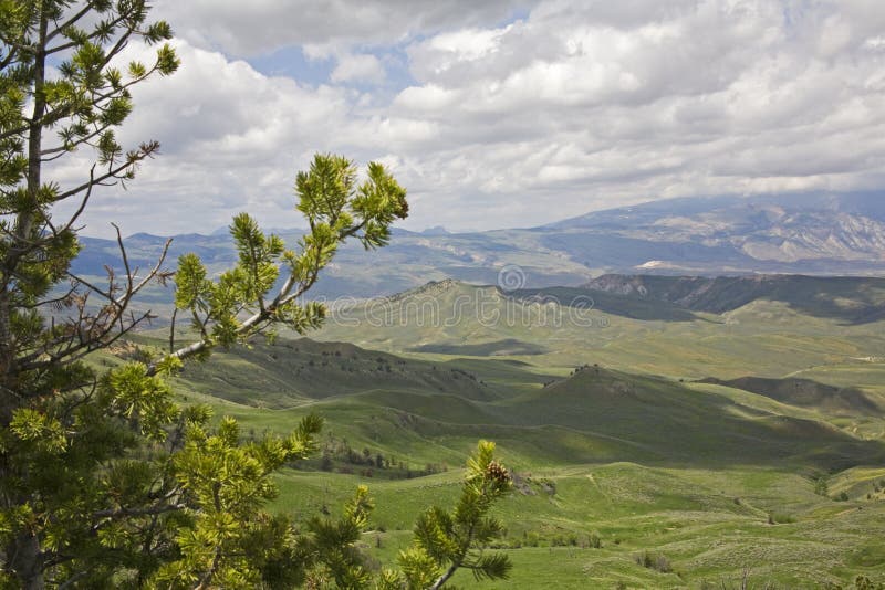 Mountain Top To Valley Landscape Scenery Pine Tree Stock Photo - Image ...