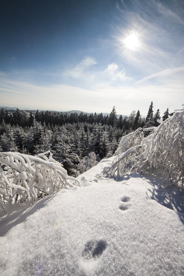 Mountain Top View stock photo. Image of snowy, natural - 49711636
