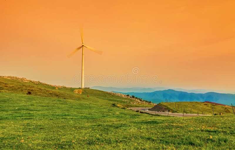 Mountain Top Windmill with Cows Grazing Stock Photo - Image of energy ...