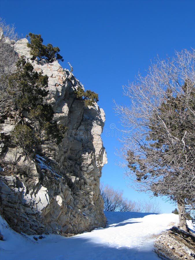 Mountain track in the snow stock image. Image of tree - 12570547