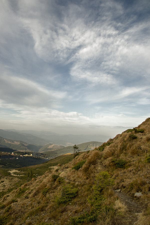 Mountain track and tree stock image. Image of mountain - 36246227