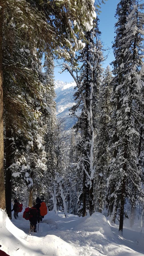 Mountain Tracking in Heavy Snowfall. Beautiful! Stock Image - Image of ...