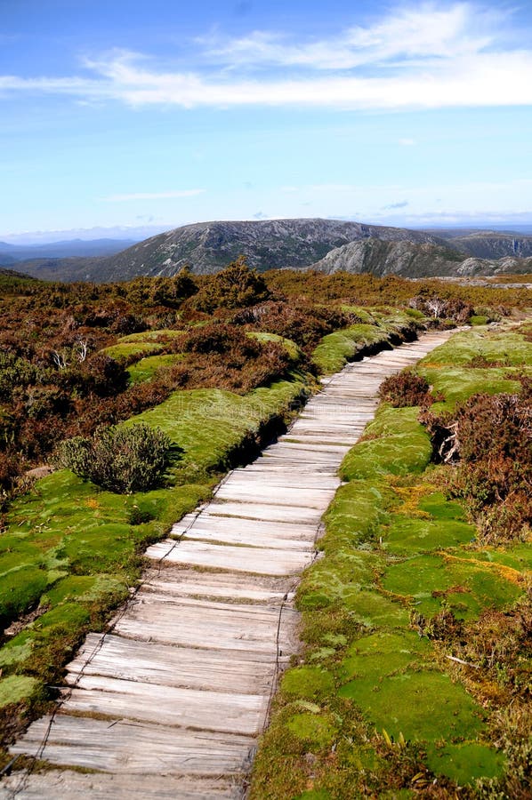 Mountain Trail stock image. Image of dove, alpine, boardwalk - 11987781