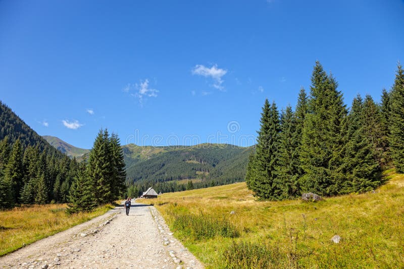 On a mountain trail stock image. Image of scenics, green - 26342219