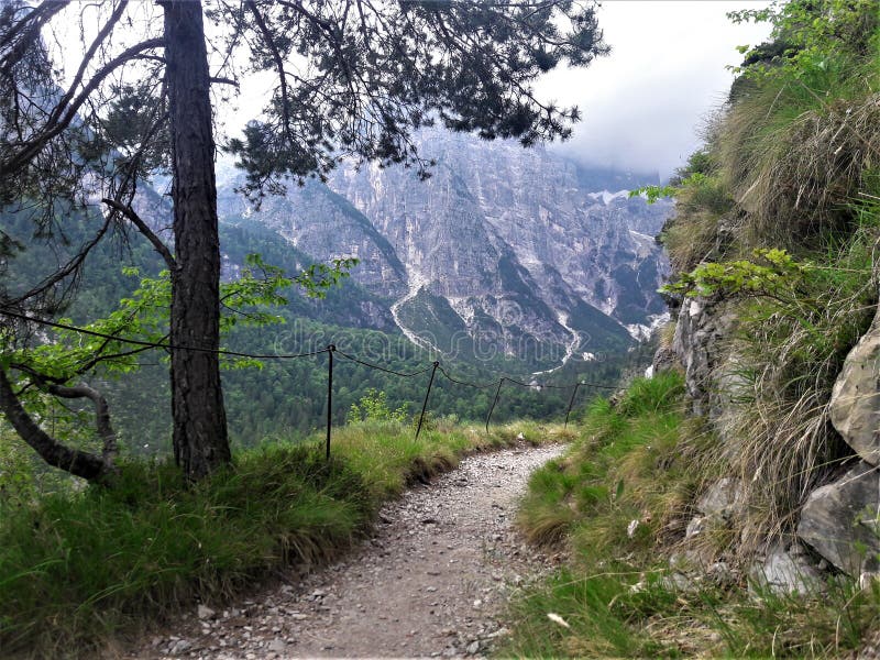 Mountain trail in the Alps stock photo. Image of background - 212396478