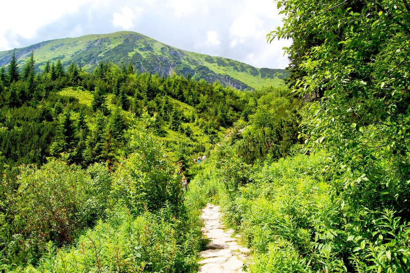 Mountain Trail at the Edge of the Forest Stock Photo - Image of lake ...