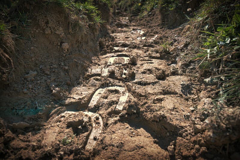 Mountain Trail with Horseshoe Marks Stock Image - Image of draw, nature ...