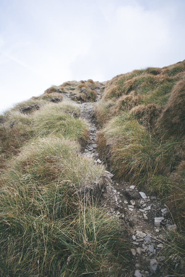 Mountain Trail. Part of the Footpath. Trail Leading To the Mountains ...