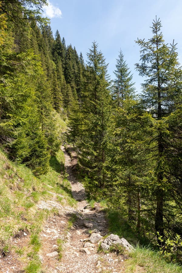Mountain trail path stock photo. Image of ground, fold - 189624072