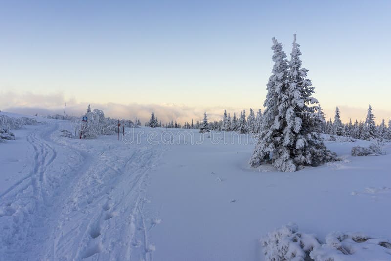 Mountain Trail in the Snow. Tatry Stock Image - Image of europe, trail ...
