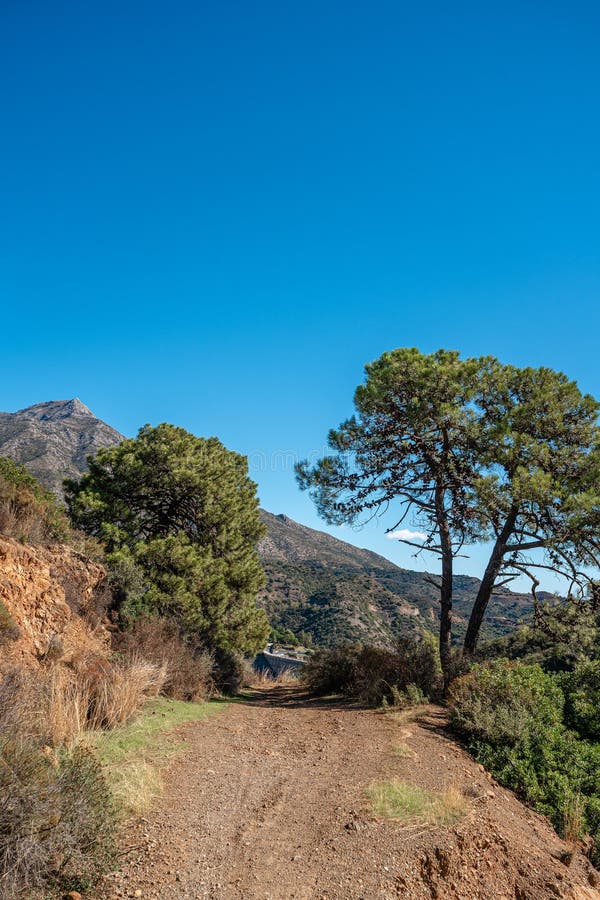 Mountain Trail with Trees and Clear Blue Sky in Natural Landscape ...