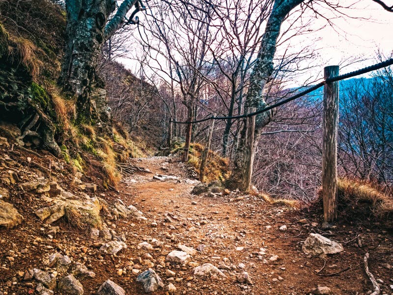 Mountain Trail in the Woods with a Wooden Railing on a Rocky Surface ...