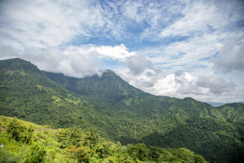 Mountain with Tree and Cloud Stock Image - Image of green, meadow ...