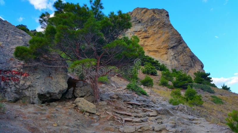 Rooted on the Rock - Hocking Hills Stock Image - Image of landscape ...