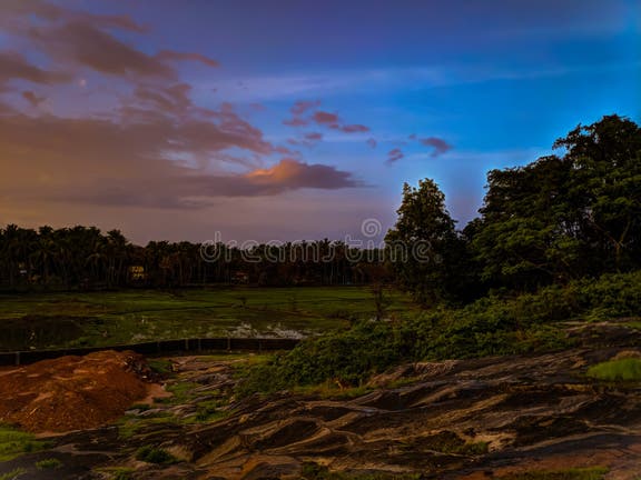 Mountain tree rock fitsin stock image. Image of fitsin - 191314535