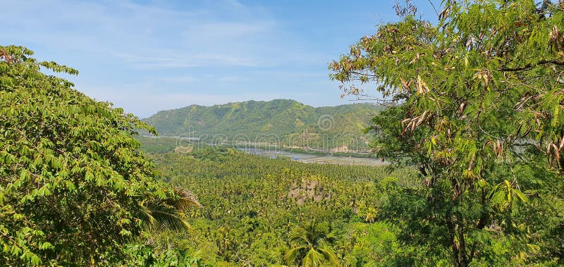 Mountain and Trees in Davao Occidental, Philippines Stock Image - Image ...