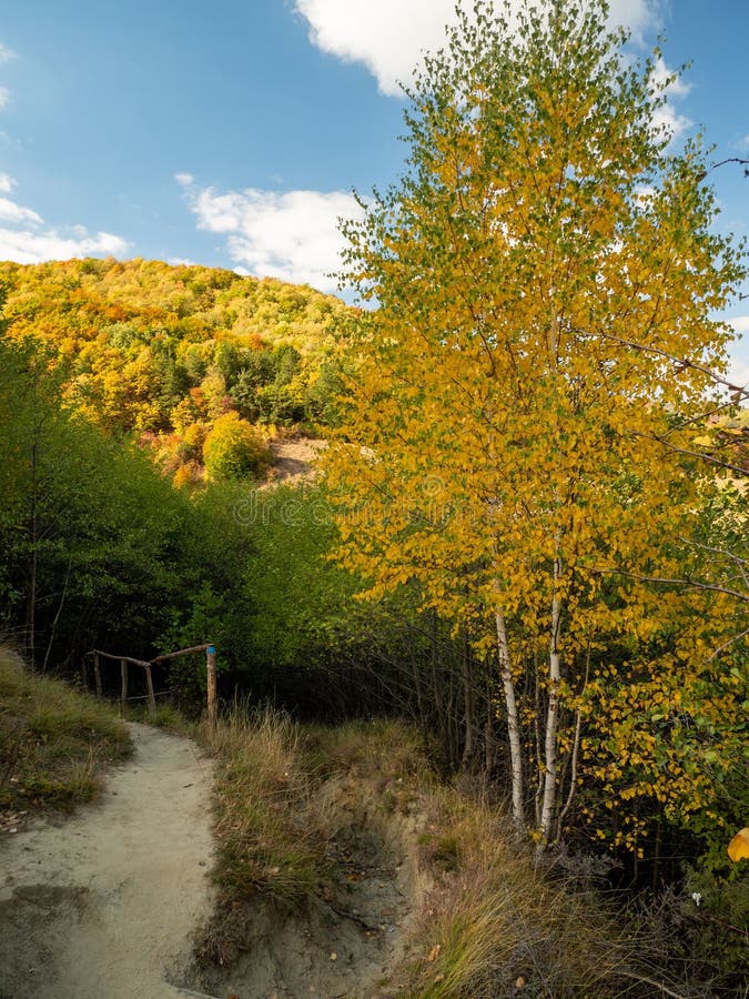 Mountain Trek with a Fall Colored Forest in Romania Stock Image - Image ...