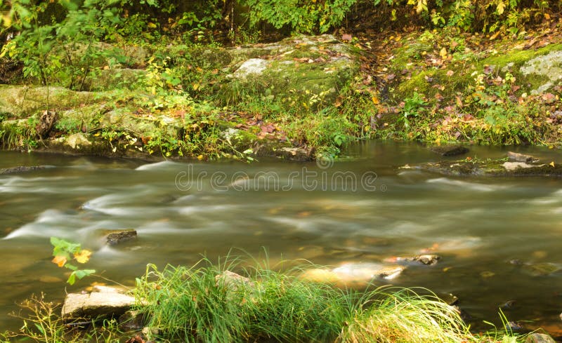 Mountain Trout Stream stock photo. Image of native, forest - 45861936