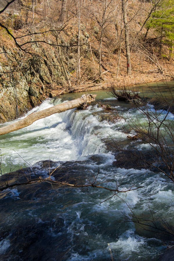 Mountain Trout Stream, Virginia Stock Image - Image of foliage, native ...