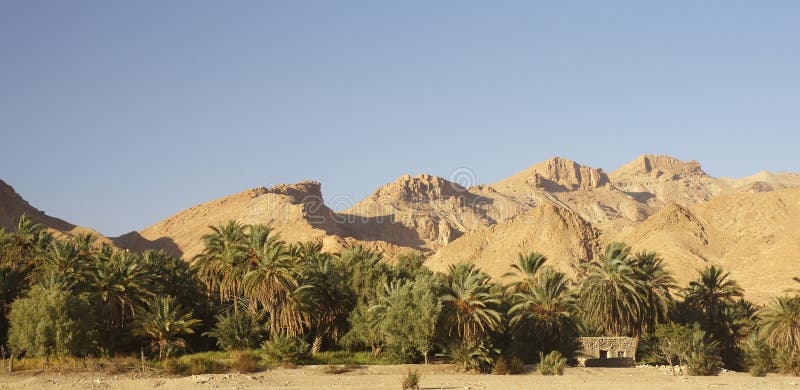 Mountain Tunisian oasis stock photo. Image of farming - 17812592