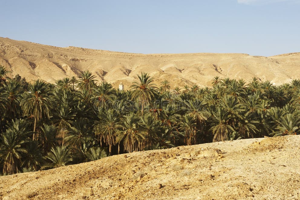 Mountain Tunisian oasis stock photo. Image of zone, tunisia - 17813358