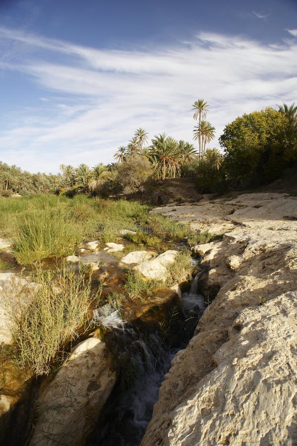 Mountain Tunisian oasis stock photo. Image of oasis, trees - 17813418
