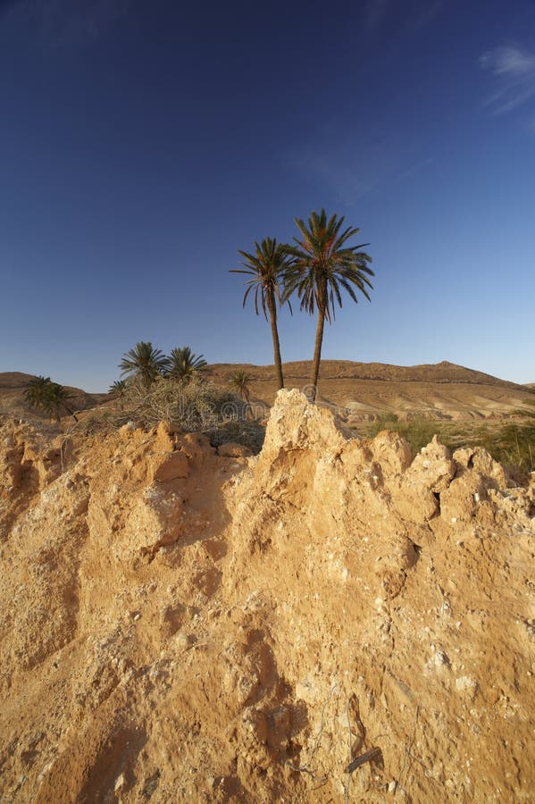 Mountain Tunisian oasis stock photo. Image of trees, travel - 17813478