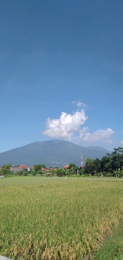 Clear ungaran mountain stock image. Image of beautiful - 93657691