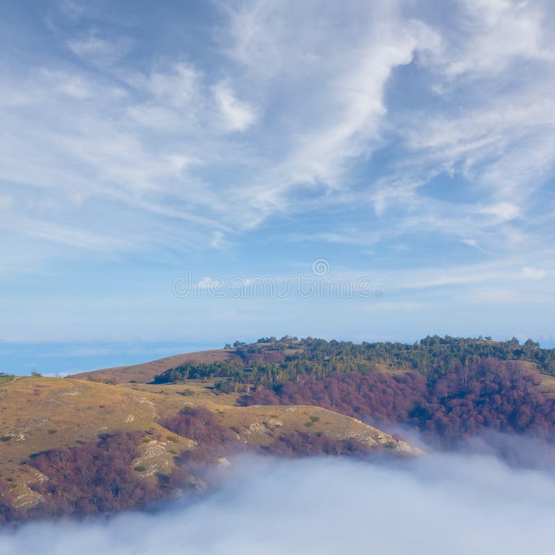 Mountain Valley in Dense Mist Stock Photo - Image of valley, mist ...