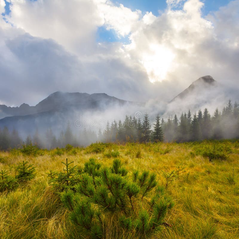 Mountain Valley in Dense Mist and Clouds Stock Image - Image of ...