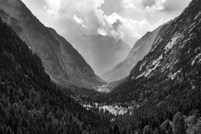 Mountain Valley Full of Trees Stock Image - Image of tourism, scenery ...