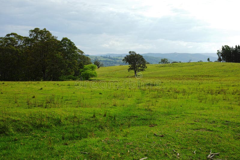 Mountain Valley Landscape, Australia Stock Image - Image of travel ...
