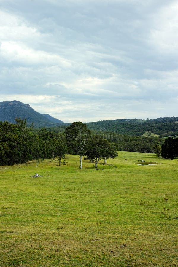 Mountain Valley Landscape, Australia Stock Photo - Image of summer ...