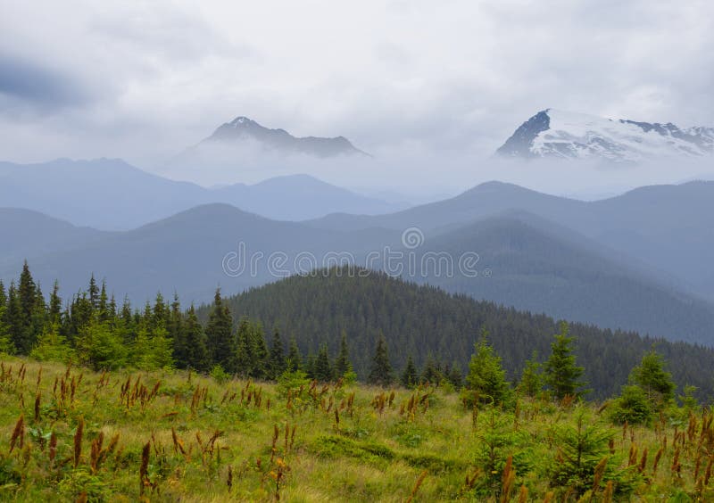 Valley in the mist stock photo. Image of deciduous, hills - 56389392