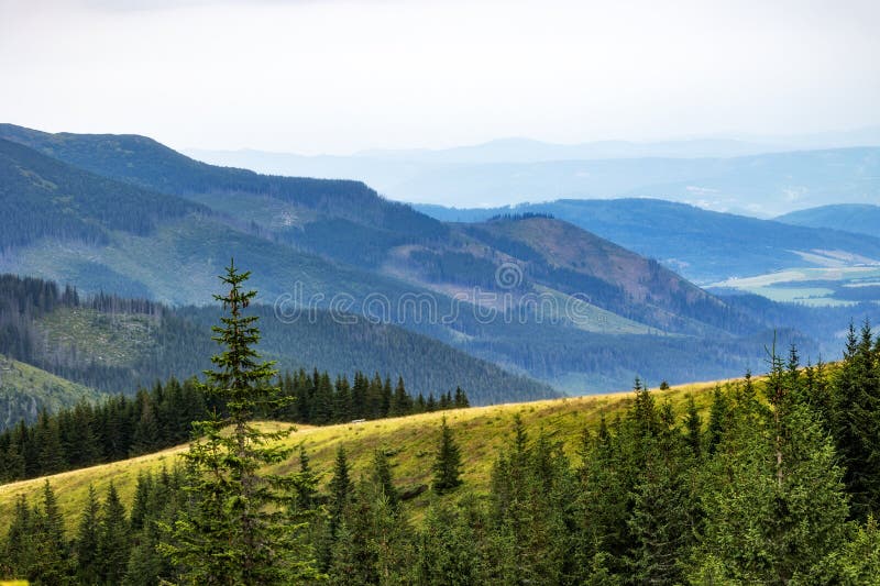 Mountain Valley with Rolling Green Hills and Dense Forests, Stretching ...