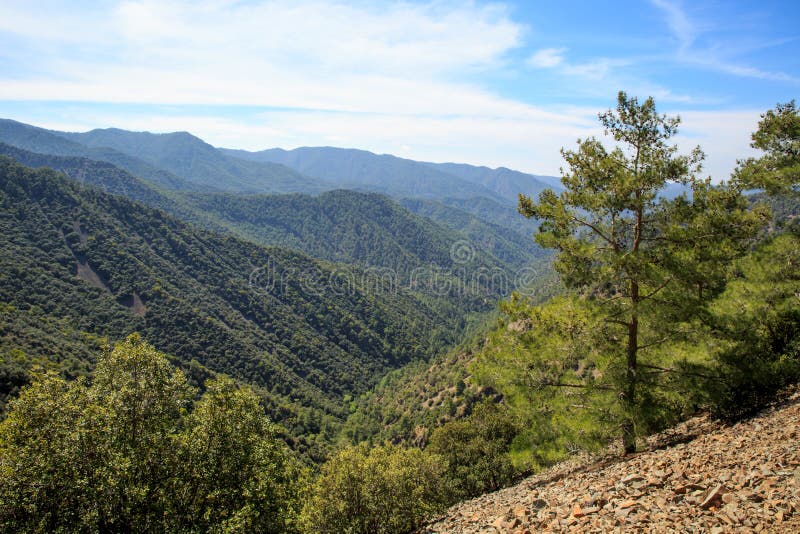 Mountain valley scene stock image. Image of national - 72889499