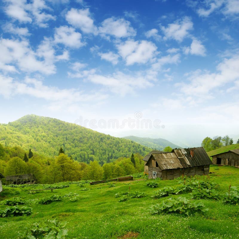 Old Shack in the Mountain stock photo. Image of roof - 34894066