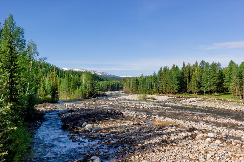 In a mountain valley stock image. Image of altay, altai - 73573075