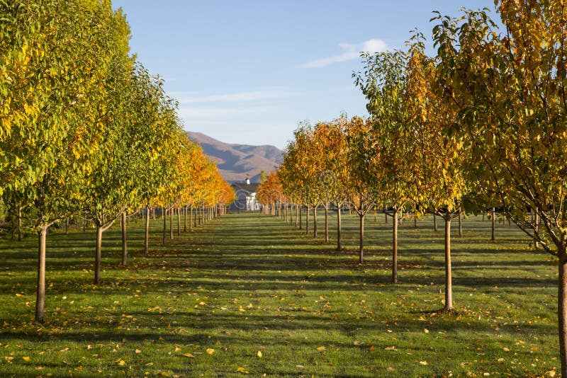 Mountain Valley Tree Lined Farm House in Autumn Stock Image - Image of ...