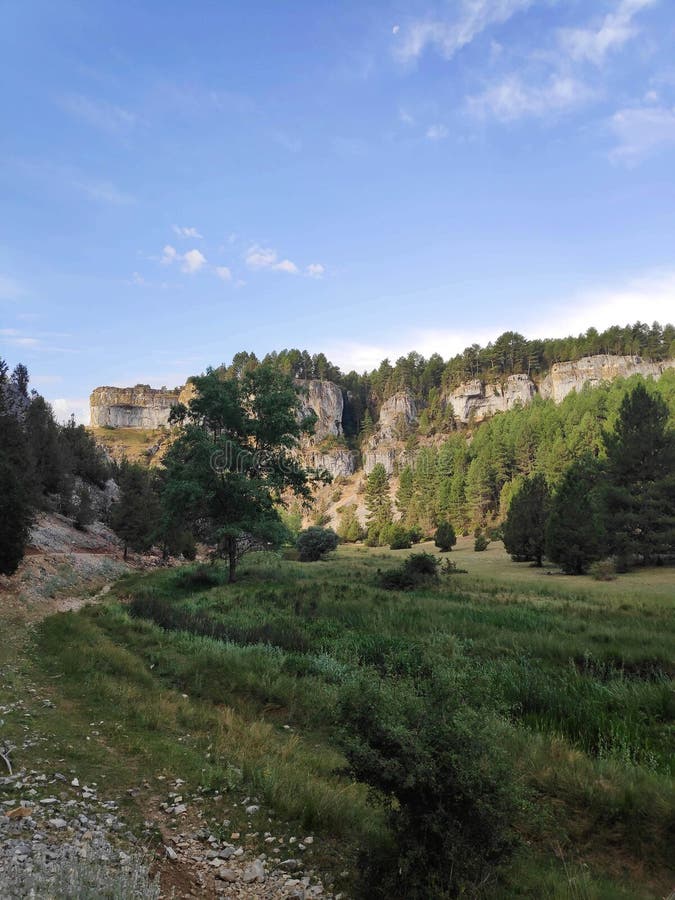 Mountain valley with trees stock photo. Image of valley - 175959908