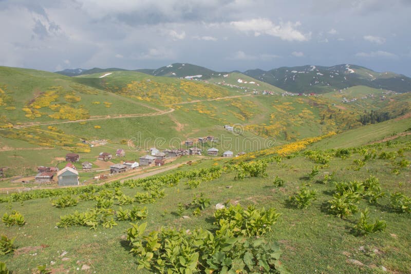 Mountain Valley Village Landscape Summer. Mountain Village View Stock ...
